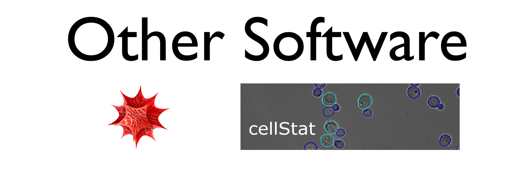 Software - Fraunhofer-Chalmers Centre